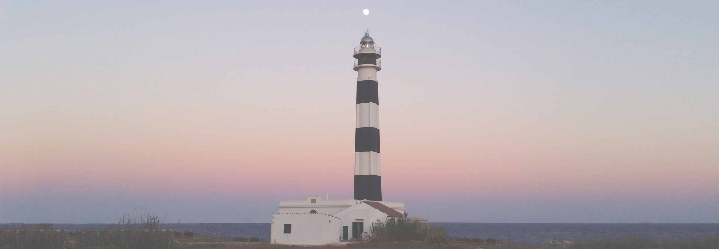 Iceport - Urban Nature Lovers